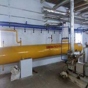 Cold Storage Safety & Compliance – Gubba Group