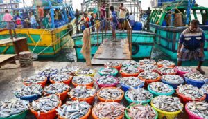 Seafood exports reach record high of Rs 73,890-cr in FY 2025–26 - Best ...